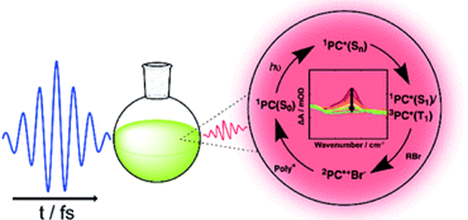 CLF CLF News Bite: Developing New Light Activated Catalysts